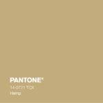 Key Colours AW 24/25 - pej gruppen