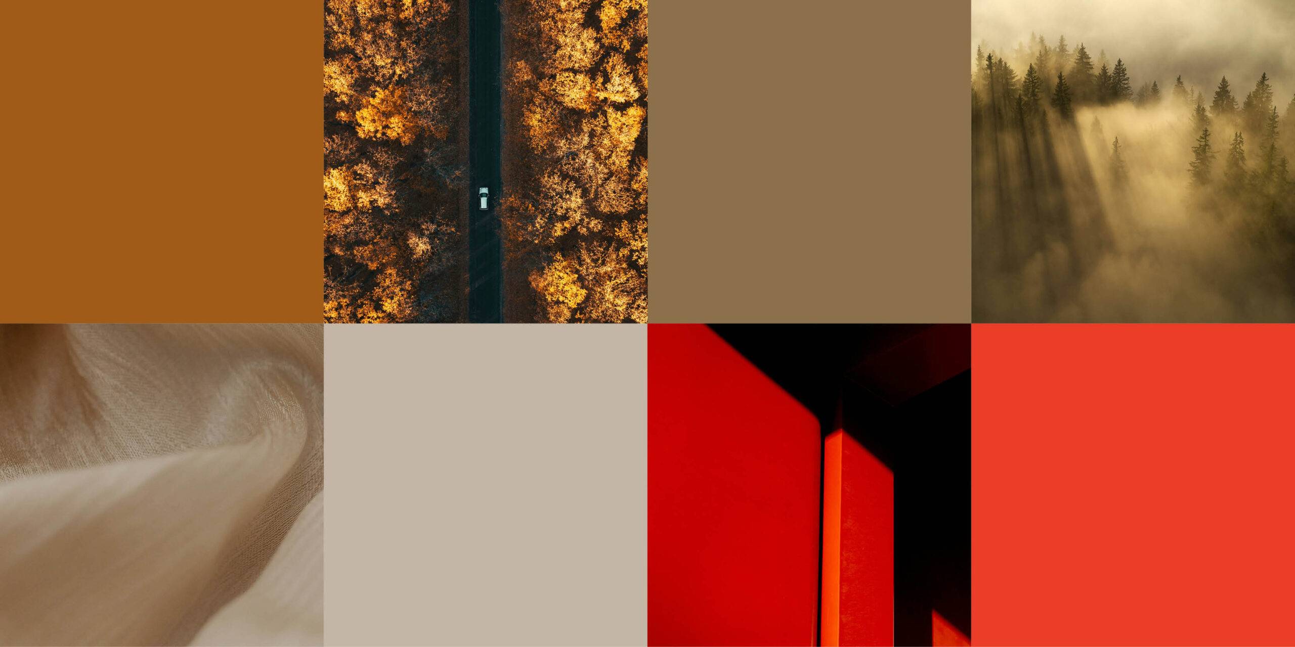 Key Colours AW 25/26 - pej gruppen